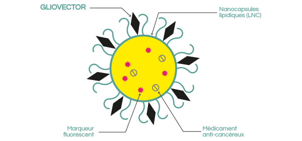 GlioVector : Gliocure